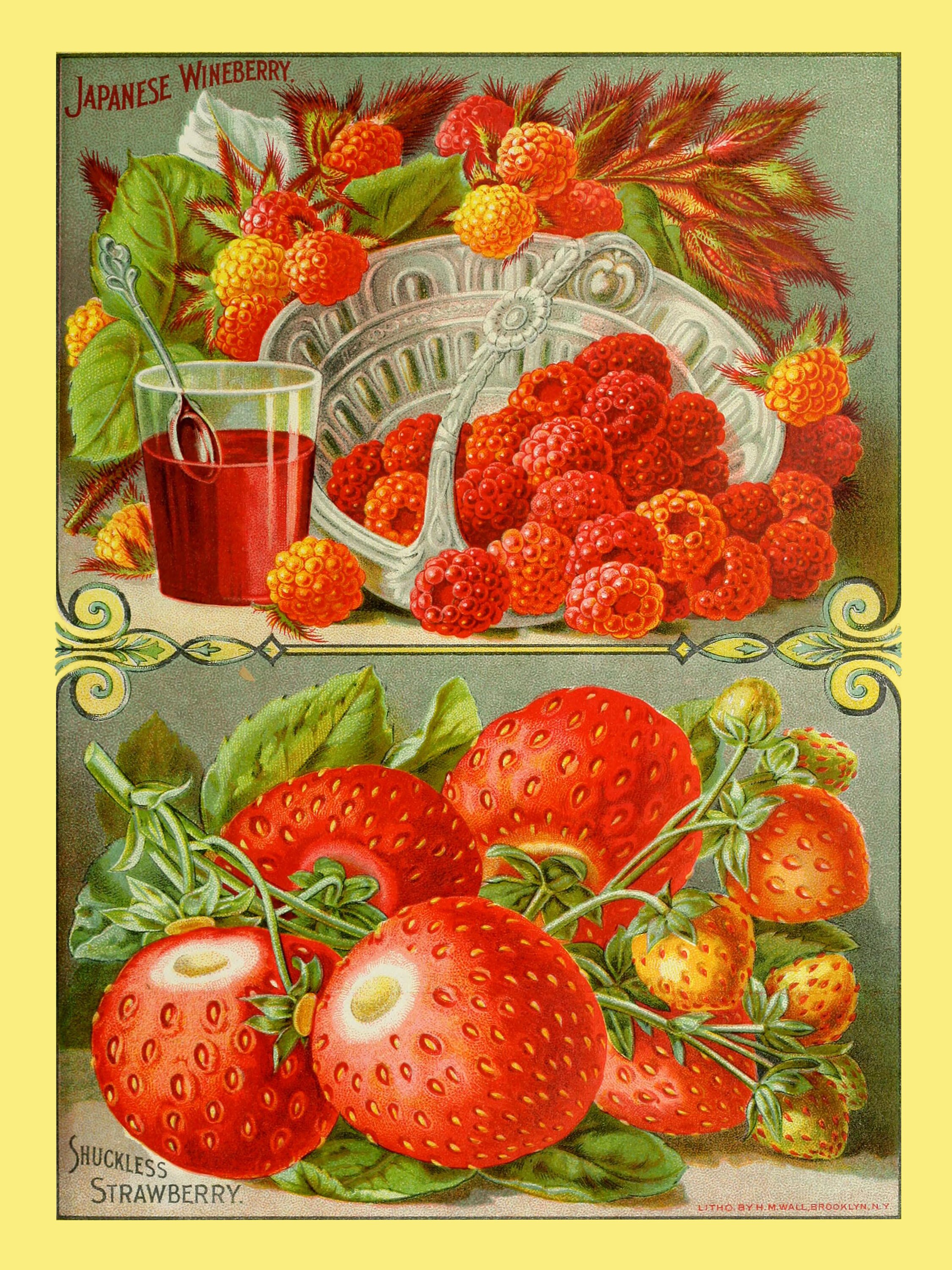 Red Beautiful Berries Poster Nature Art, Vintage Illustration, Food Art ...