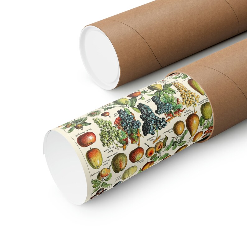 Vintage French Fruit Chart Poster Botanical Print - Etsy