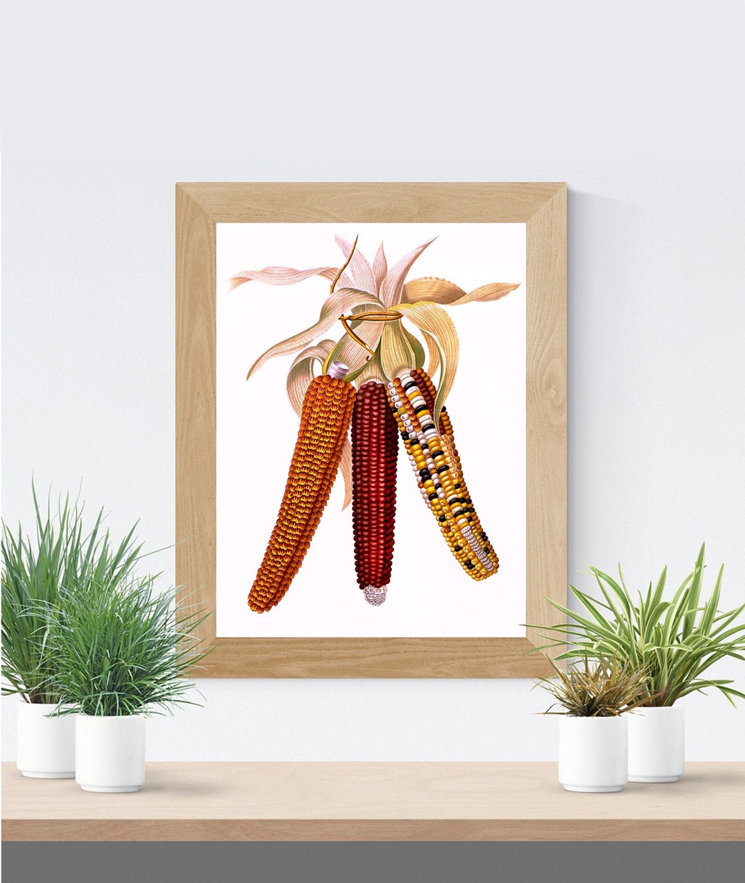 Vintage Indian Corn Art Poster | Ornamental Corn Kitchen Poster ...