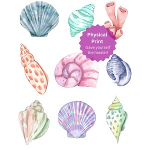 Colorful Shell Print Beach Print Bathroom Art Print Cape Cod Print ...