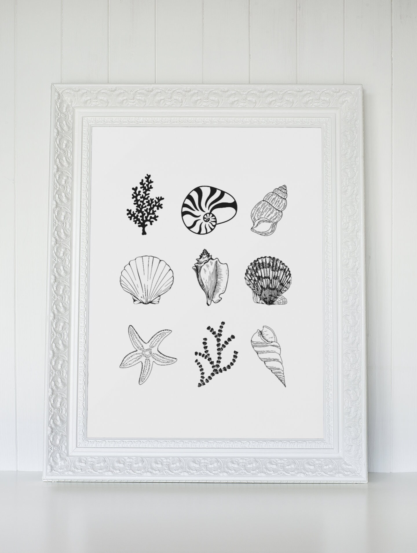 Shell Print Black and White Sea Shell Art Elegant Beach Decor Bathroom ...