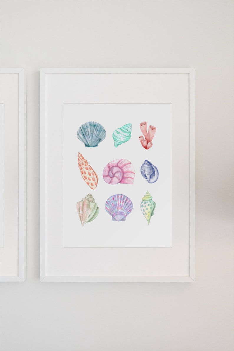 Colorful Shell Print Beach Print Bathroom Art Print Cape Cod Print ...