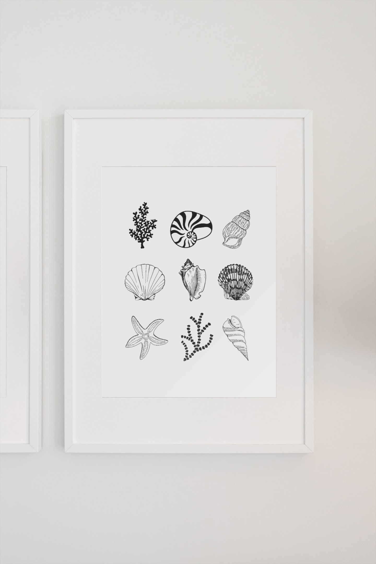 Shell Print Black and White Sea Shell Art Elegant Beach Decor Bathroom ...