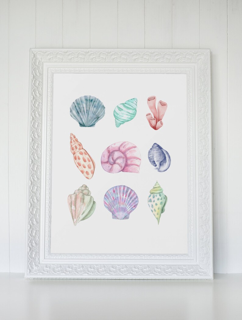 Colorful Shell Print Beach Print Bathroom Art Print Cape Cod Print ...