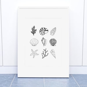 Shell Print Black and White Sea Shell Art Elegant Beach Decor Bathroom ...