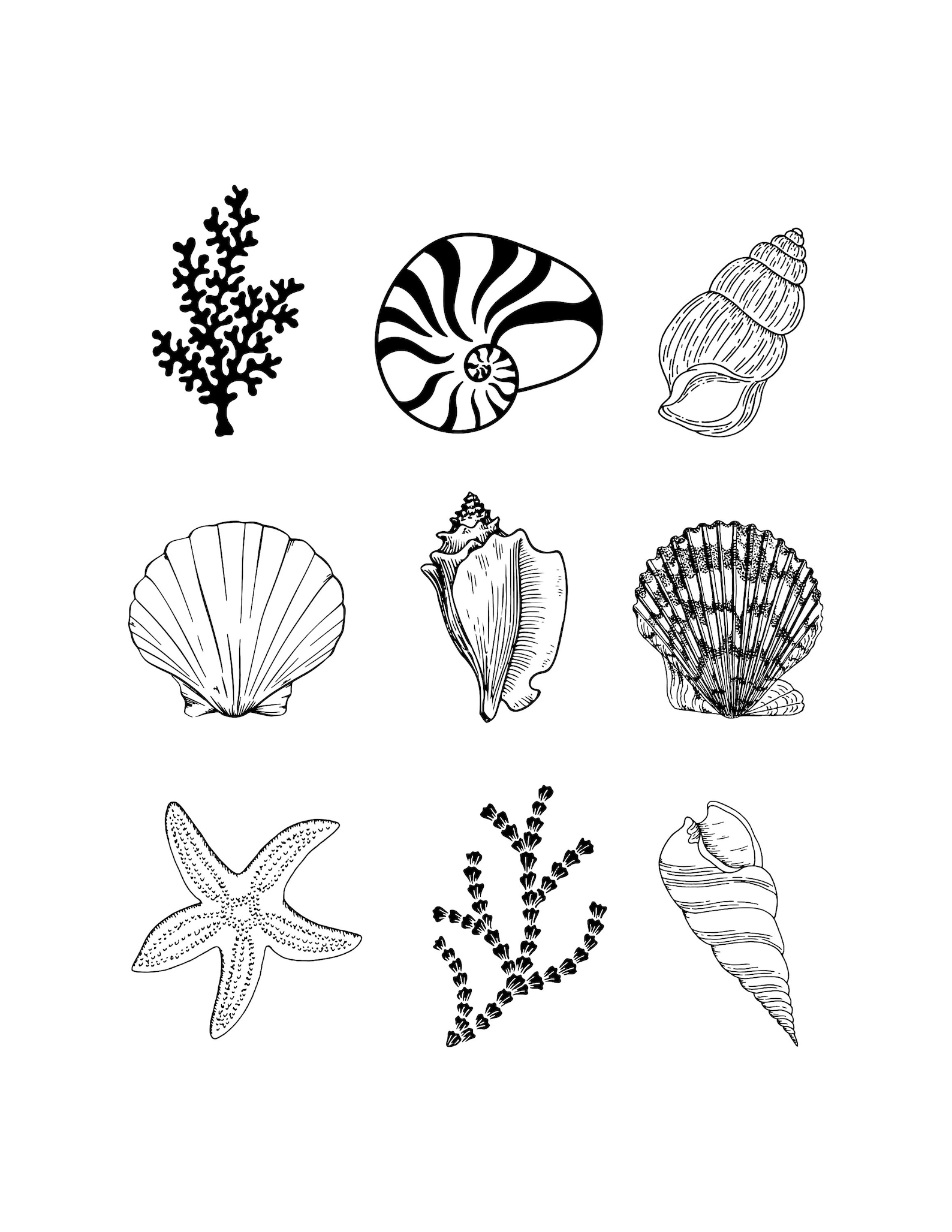 Shell Print Black and White Sea Shell Art Elegant Beach Decor Bathroom ...