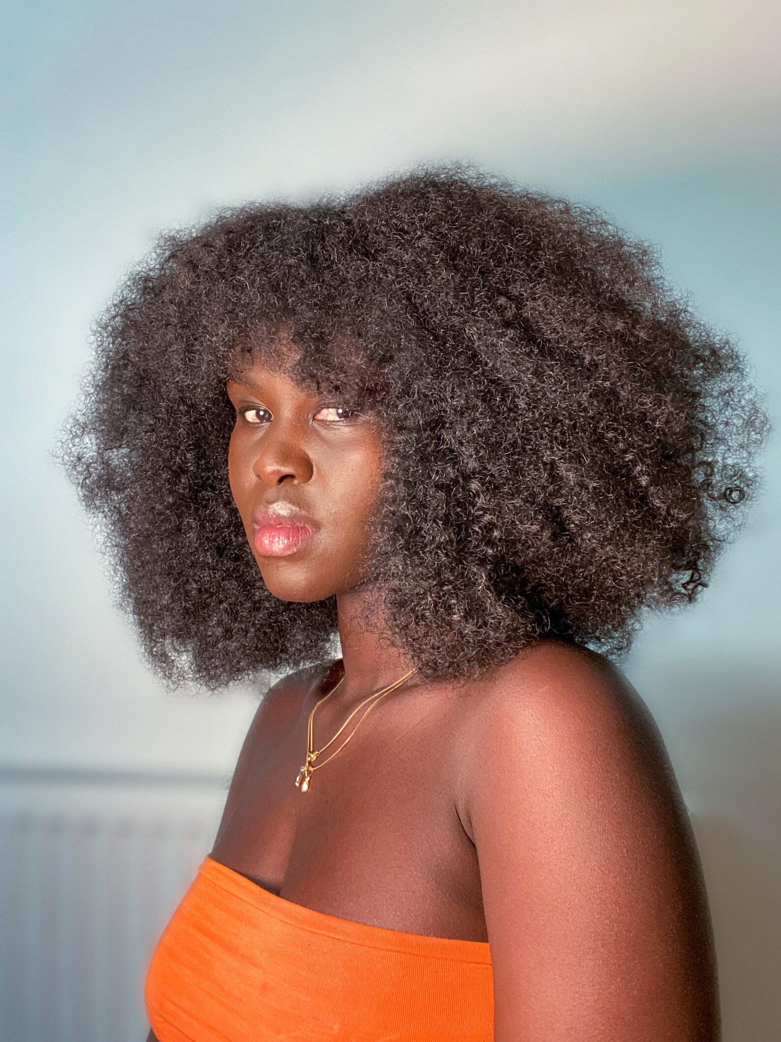 Afro Wig With Fringe 4B/4C Hair - Etsy