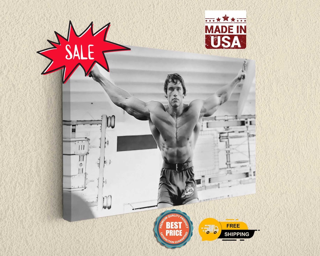 Arnold Schwarzenegger Workout Canvas Art Motivational Home Wall ...