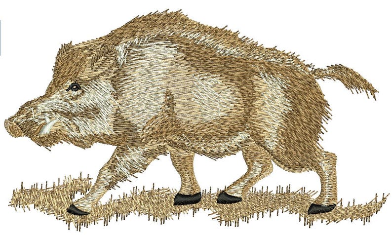 Wild Boar Machine Embroidery Design, This is Not a Real Product, These ...