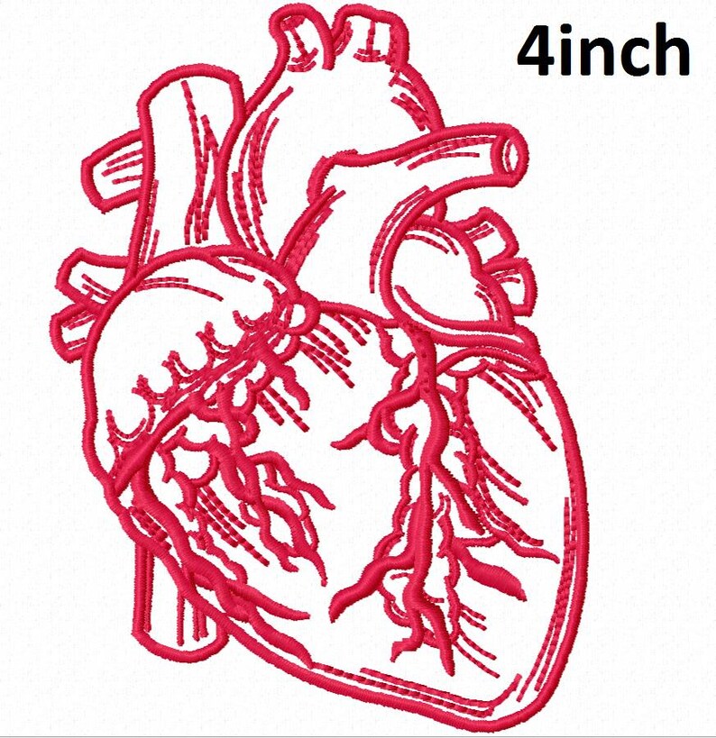 Realistic Human Heart Machine Embroidery Design, This is Not a Real ...