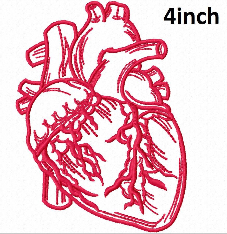 Realistic Human Heart Machine Embroidery Design, This is Not a Real ...