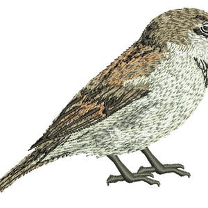Sparrow Machine Embroidery Design, This is Not a Real Product, These ...