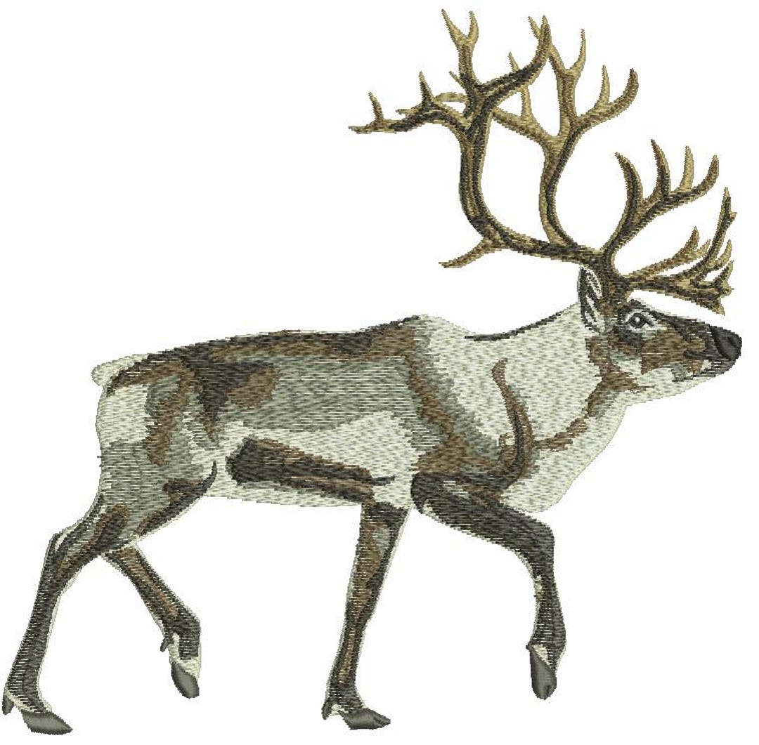 Caribou Machine Embroidery Design, This is Not a Real Product, These ...