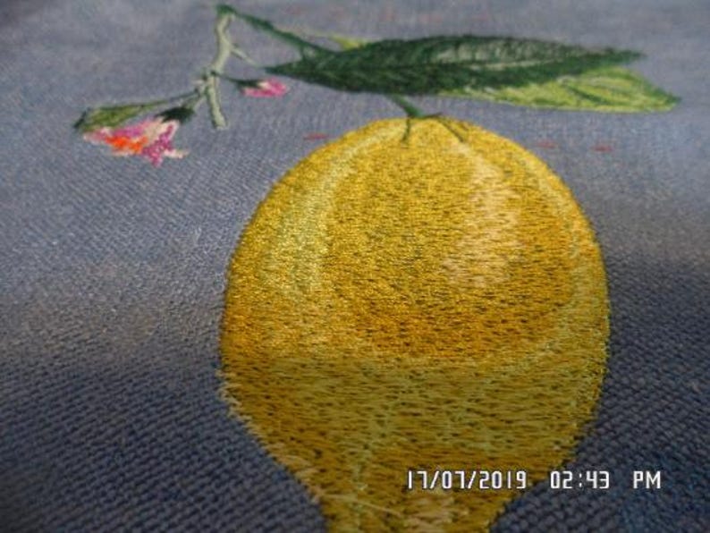 Sliced Lemon Machine Embroidery Design, This is Not a Real Product ...