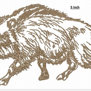 Wild Boar Machine Embroidery Design, This is Not a Real Product, These ...
