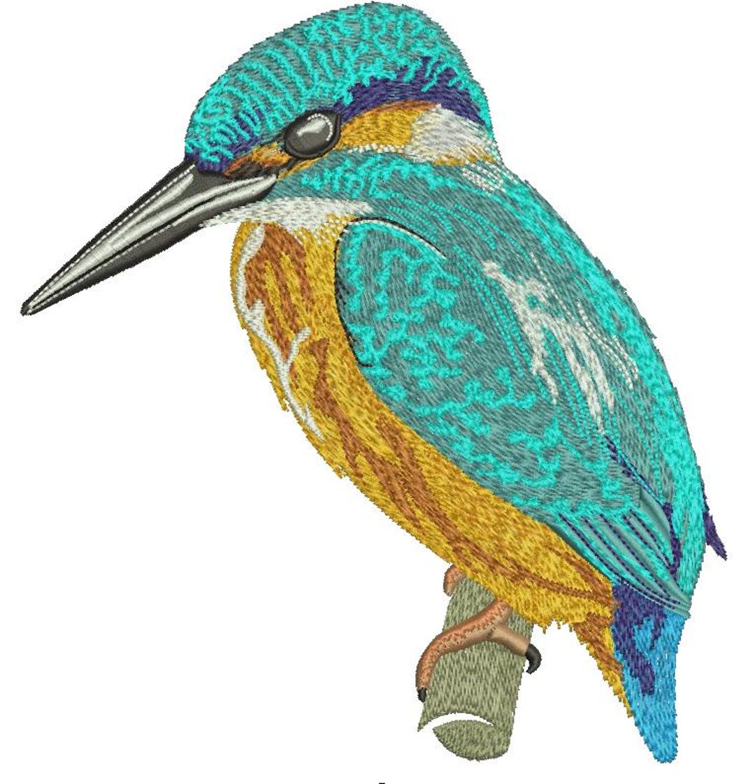 Kingfisher Machine Embroidery Design - Etsy
