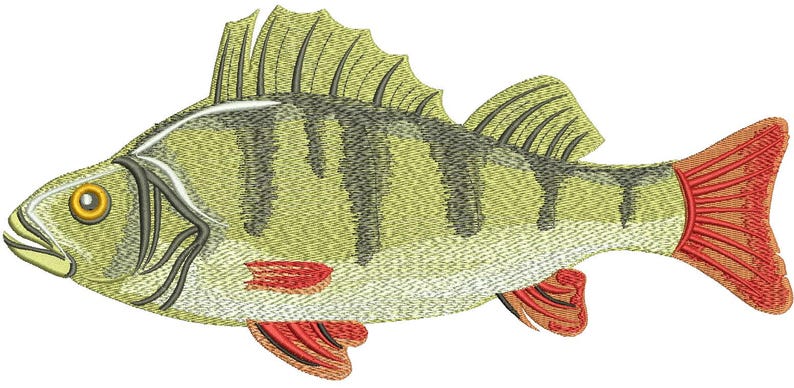 Bass Fish Perch Machine Embroidery Design Instant Download Instant ...