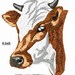 Cow ( Bull ) Machine Embroidery Designs INSTANT DOWNLOAD, This is Not a ...