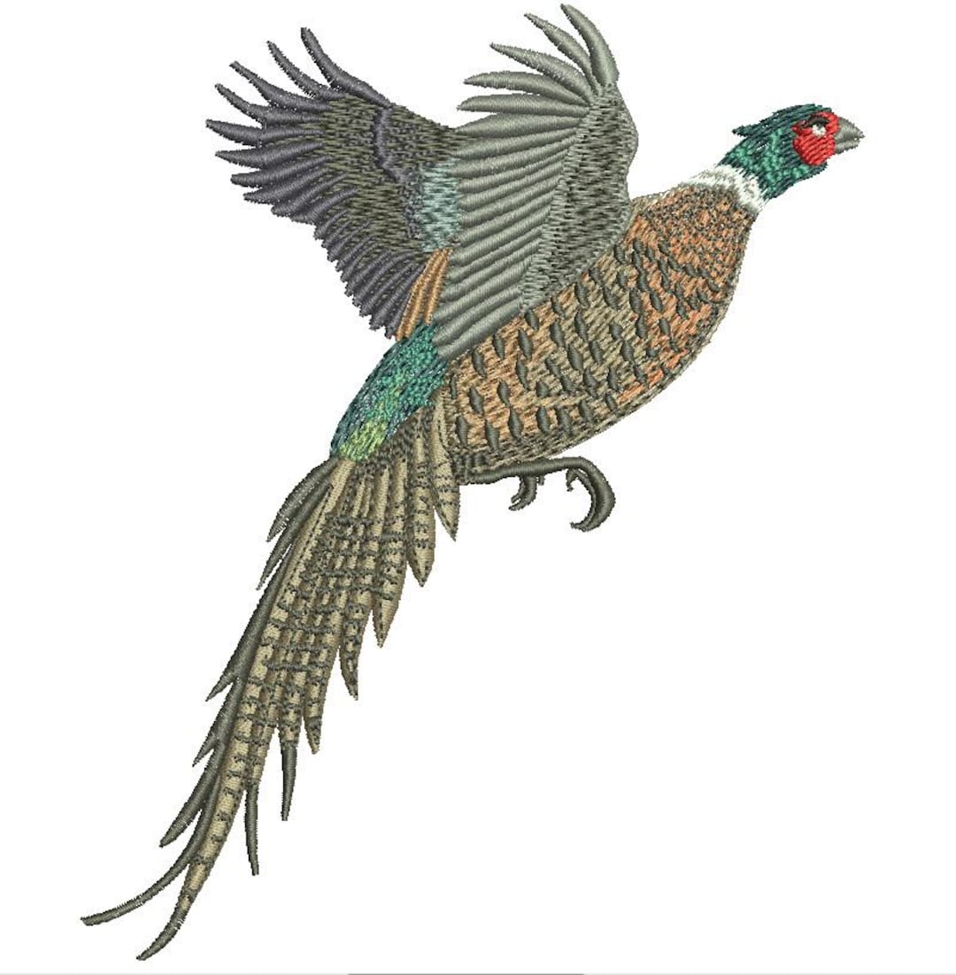 Pheasant Flying Machine Embroidery Design, This is Not a Real Product ...