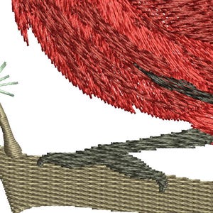 Red Cardinal Bird Machine Embroidery Design, This is Not a Real Product ...