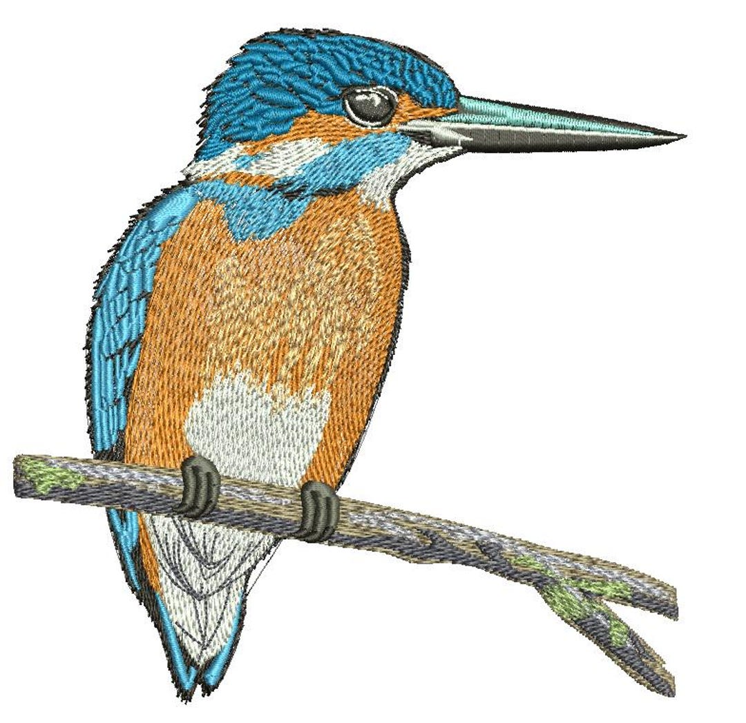 Kingfisher. Large Machine Embroidery Design, Instant Download - Etsy