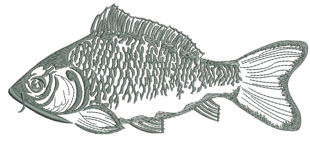 Carp Common Carp (cyprinus Carpio) CARP Fish Machine Embroidery Design ...