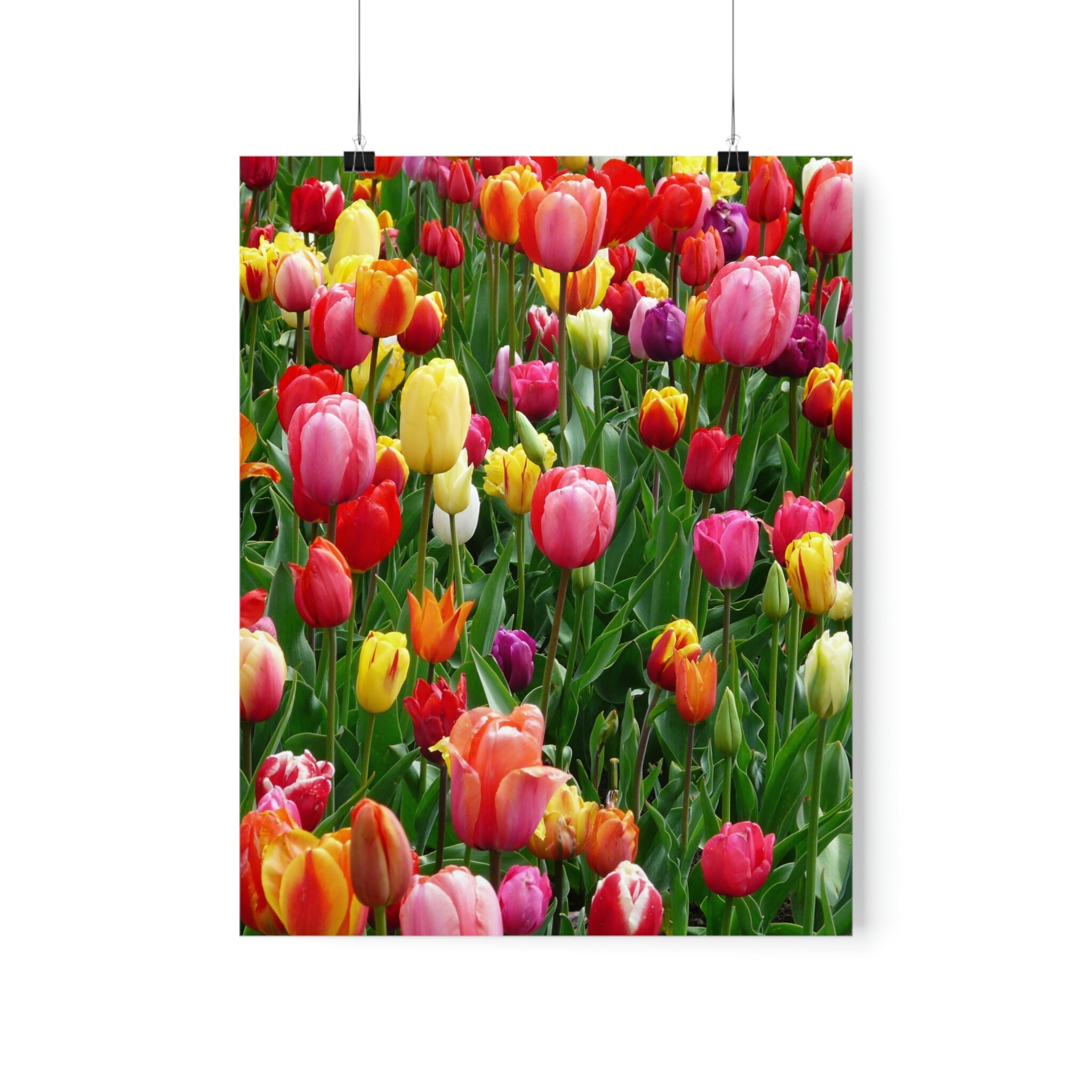 Spring Tulips 7 - Premium Matte Vertical Poster - Etsy