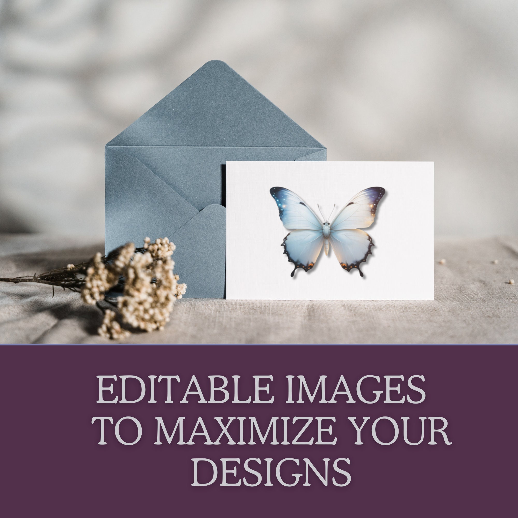 Beautiful Butterfly SVG Clipart Bundle for Free Commercial Use Digital ...