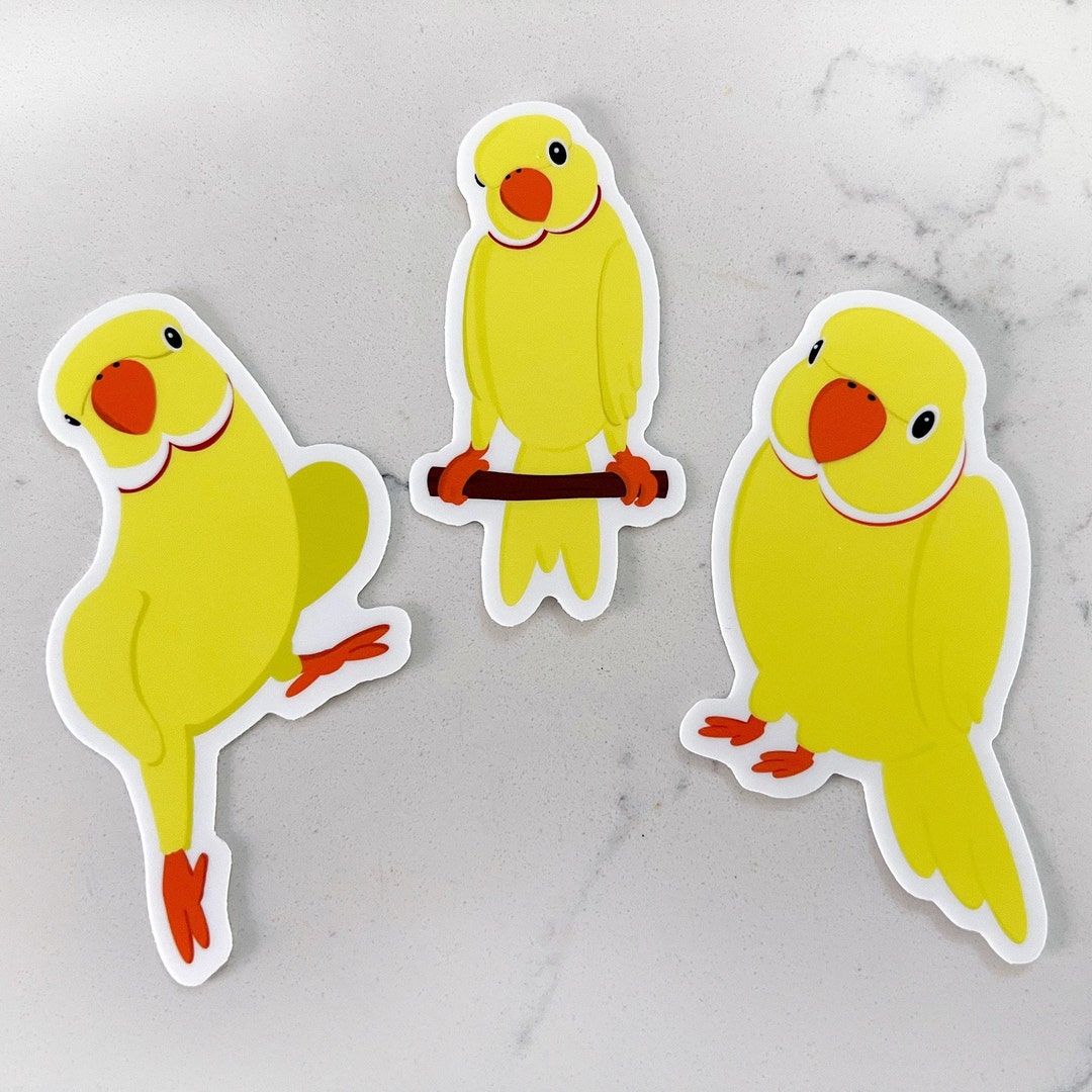 Adorable Set of 3 Yellow Indian Ringneck Stickers - Etsy