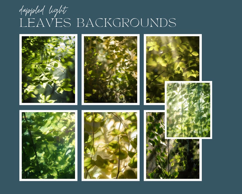 Dappled Light Leaves Backgrounds 23 Pack | Beautiful Illustration ...