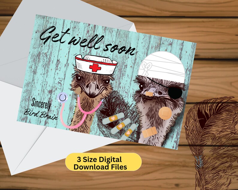 Bird Brain Get Well Soon - Etsy