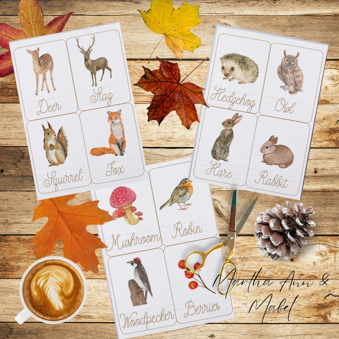 Early Years 24 Woodland Animal Cards free Nature Hunt Print - Etsy