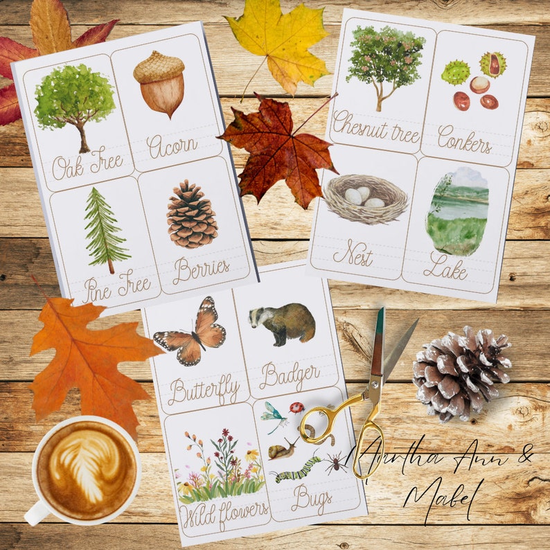 Early Years 24 Woodland Animal Cards free Nature Hunt Print - Etsy