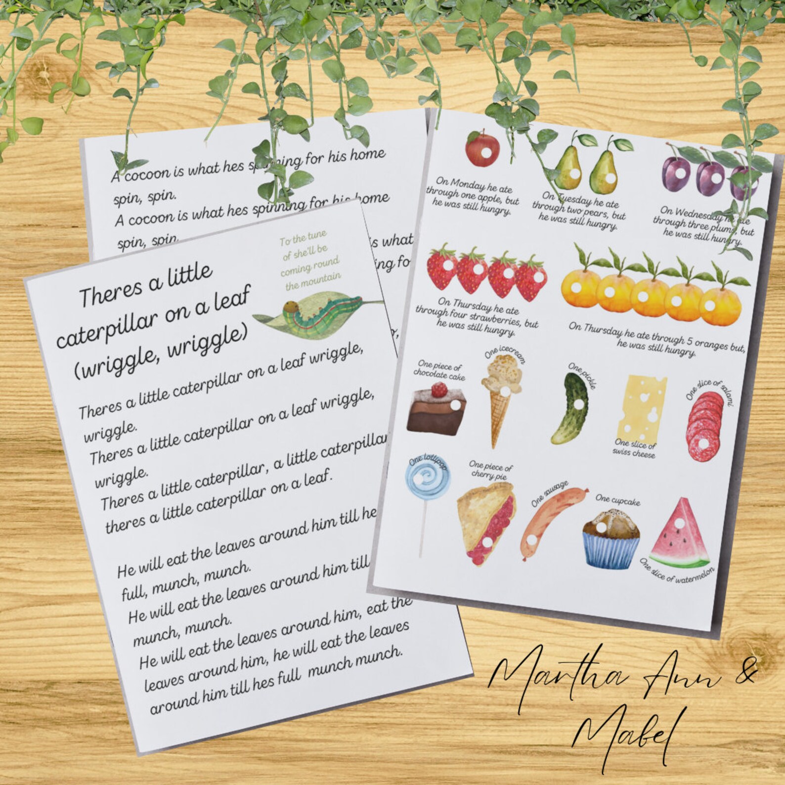 The Very Hungry Caterpillar Life Cycle Learning Teaching Resource ...