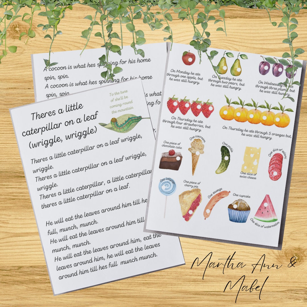 The Very Hungry Caterpillar Life Cycle Learning Teaching Resource ...
