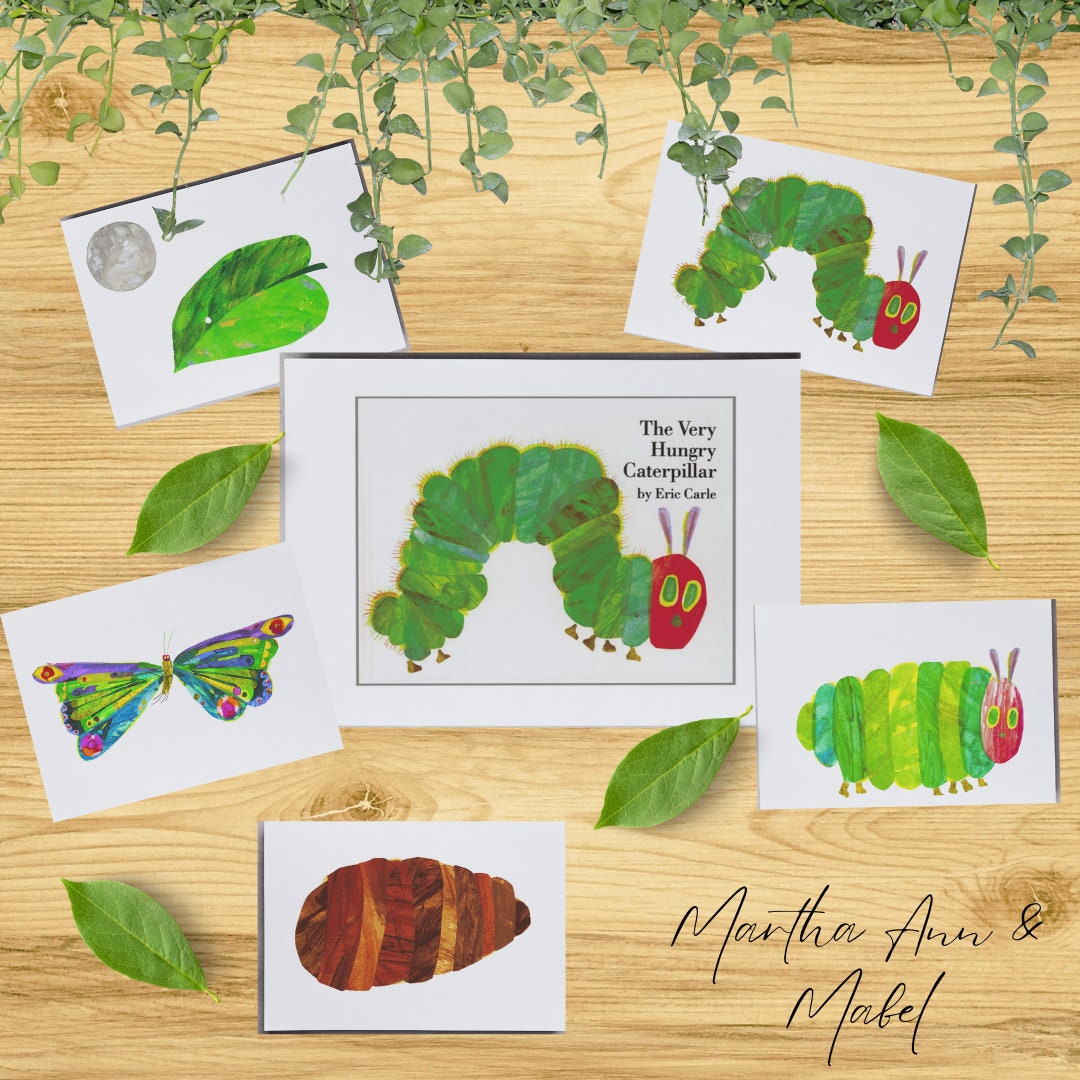 The Very Hungry Caterpillar Life Cycle Learning Teaching Resource ...