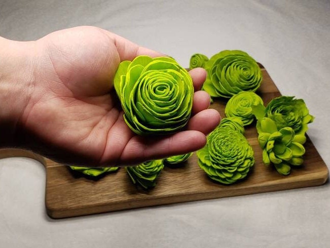 Lime Green Sola Wood Assortment,sola Wood Flowers, Sola Wood,sola ...