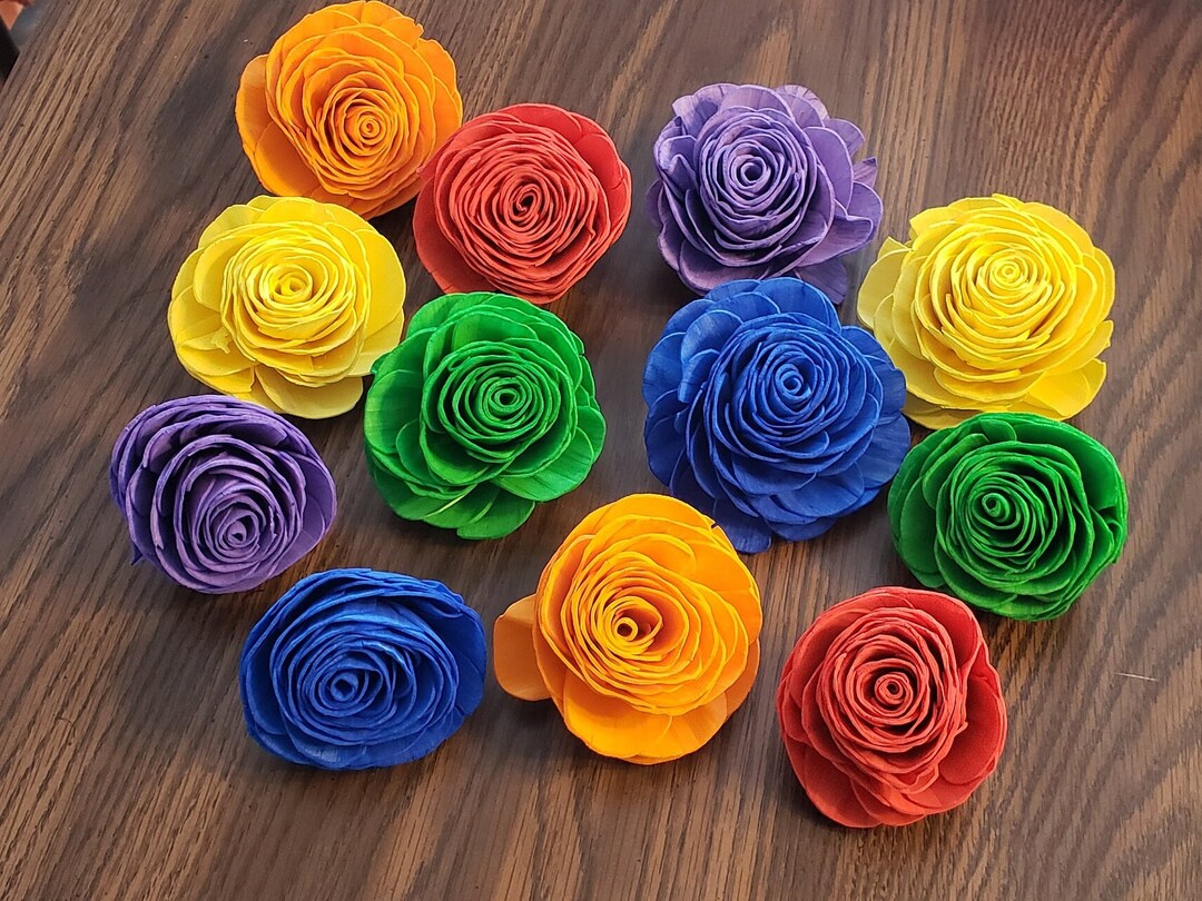 Pride Sola Wood Rose Assortment, LGBTQ Sola Wood Flowers, Gay Pride ...