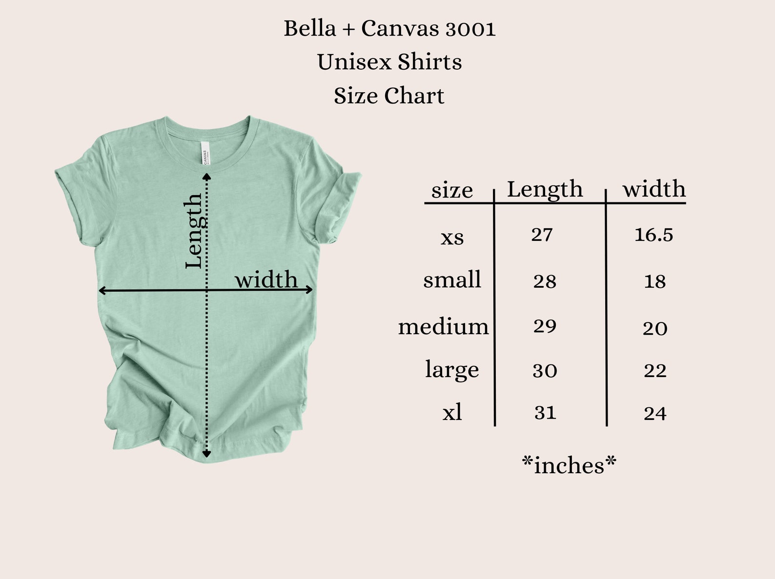 Miss Rachel University Tshirt Ms Rachel Songs for Littles T - Etsy