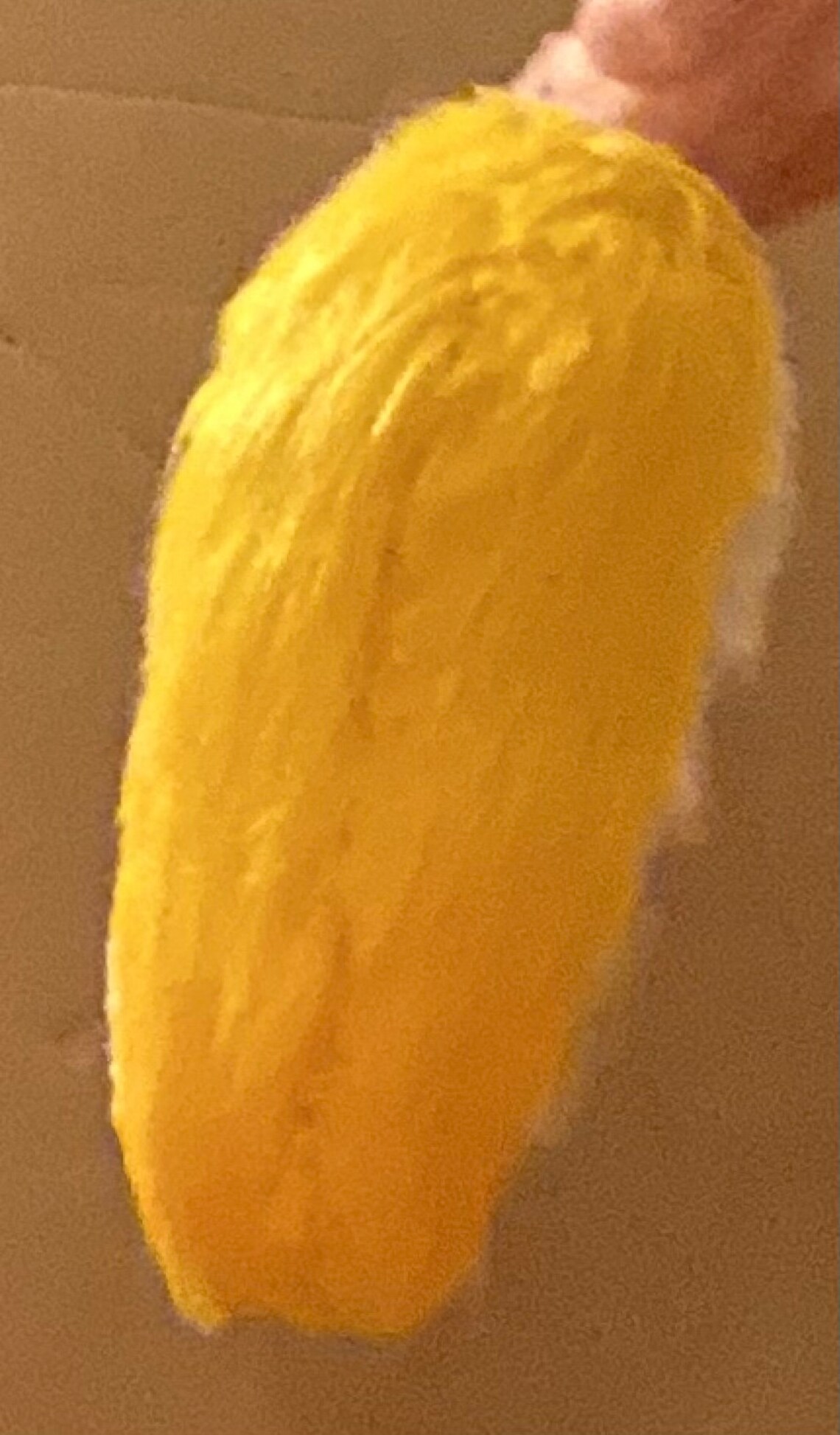 Fursuit Stub Tail attached With Belt Loop - Etsy