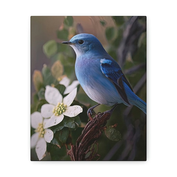 Idaho State Bird And Flower