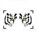 Tiger Eyes Svg, Tiger Face Svg, Vector Cut File for Cricut,cricut ...