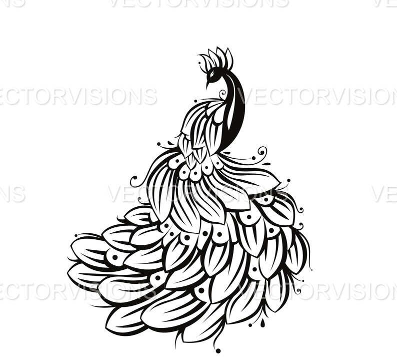 Peacock Svg, Bird Svg, Vector Cut File for Cricut,cricut,silhouette ...