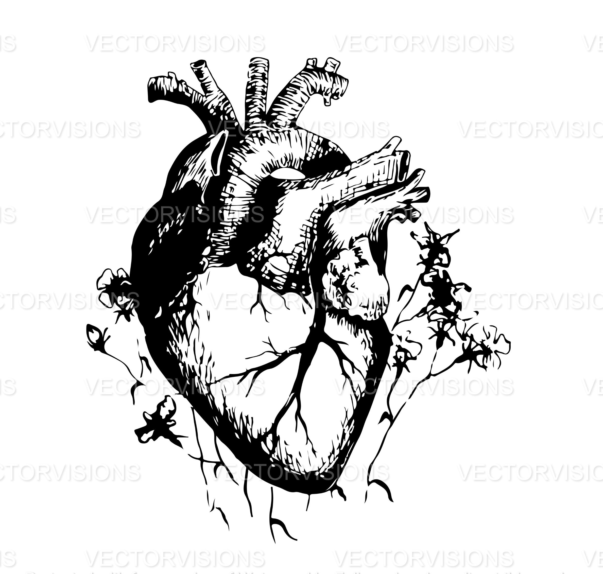 Heart Svg, Human Hearts Svg,vector Cut File for Cricut, Cricut ...