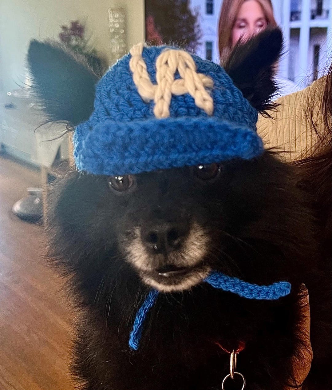 Dodgers Dog Cap/ Crochet Dog Hat - Etsy