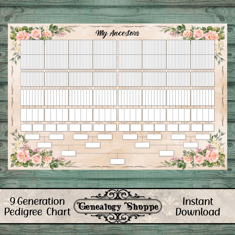 9 Generation Pedigree Chart, Rose Floral Border Parchment Background ...