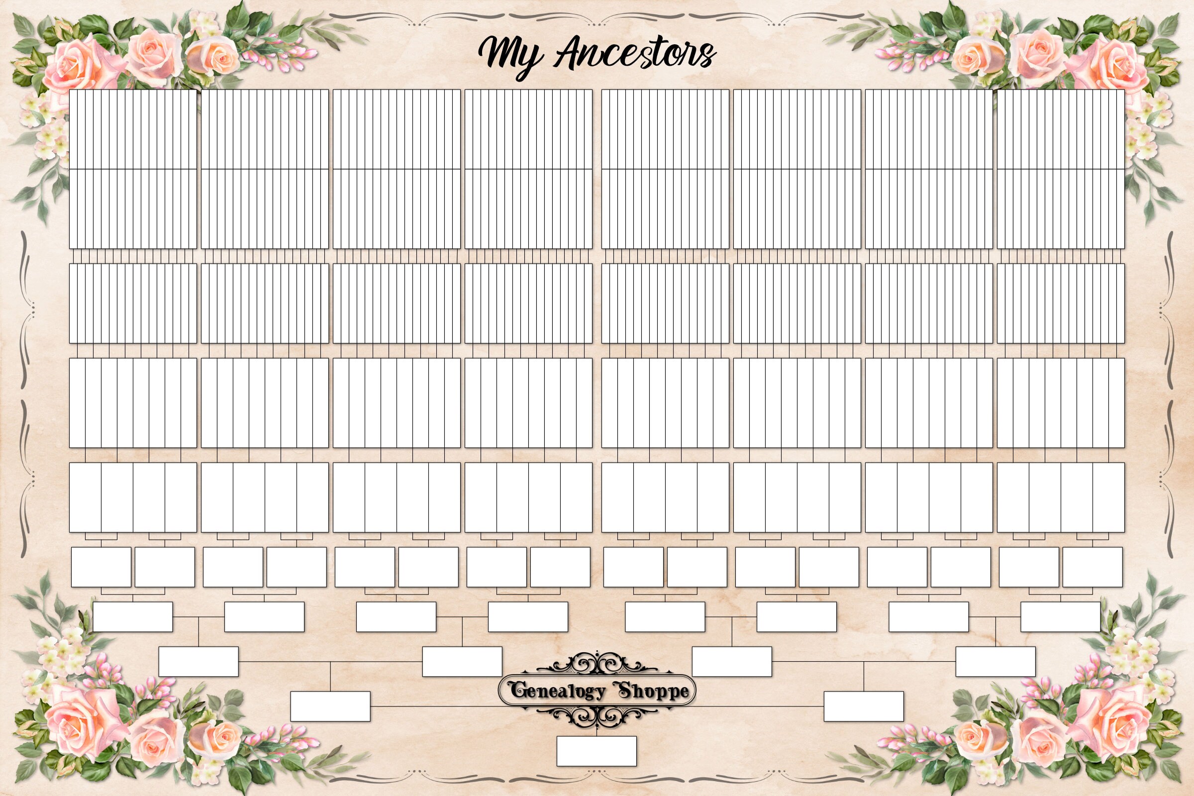 9 Generation Pedigree Chart, Rose Floral Border Parchment Background ...
