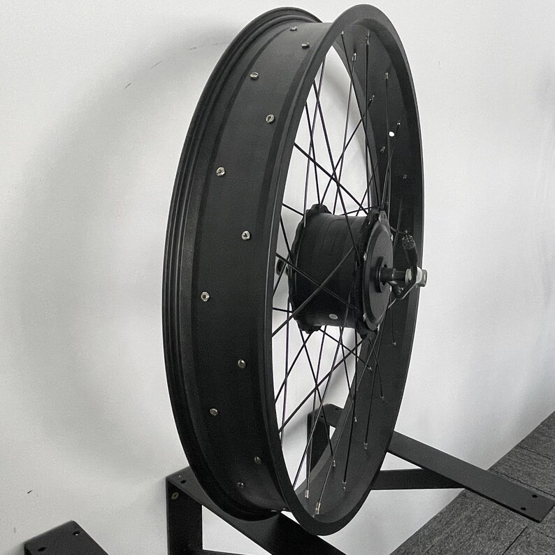 Fat Bike Electric Hub Motor Rear Wheel 20 Inch 4.0 Width, 48V 1000W ...