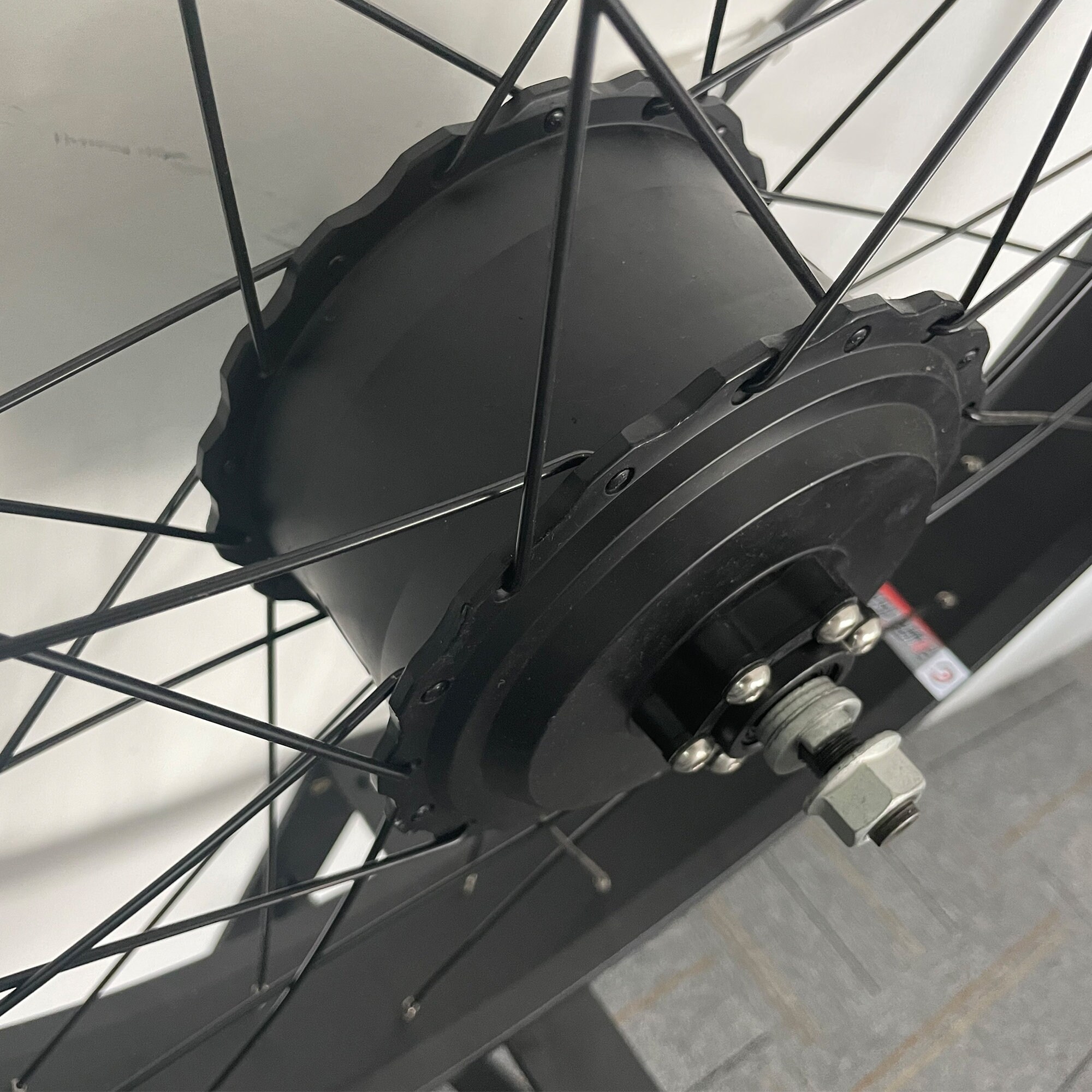 Fat Bike Electric Hub Motor Rear Wheel 20 Inch 4.0 Width, 48V 1000W ...