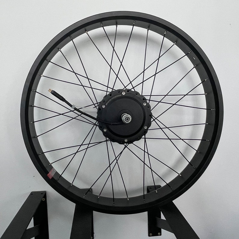 Fat Bike Electric Hub Motor Rear Wheel 20 Inch 4.0 Width, 48V 1000W ...